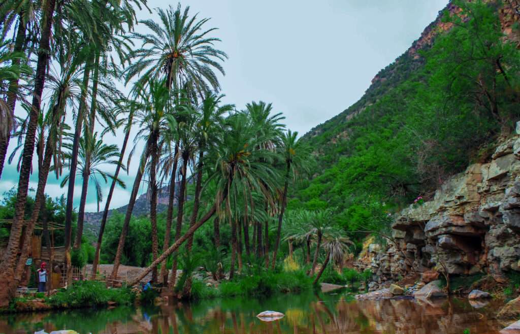 Ecotourism in Morocco: Sustainable Travel Tips - Berber Trails